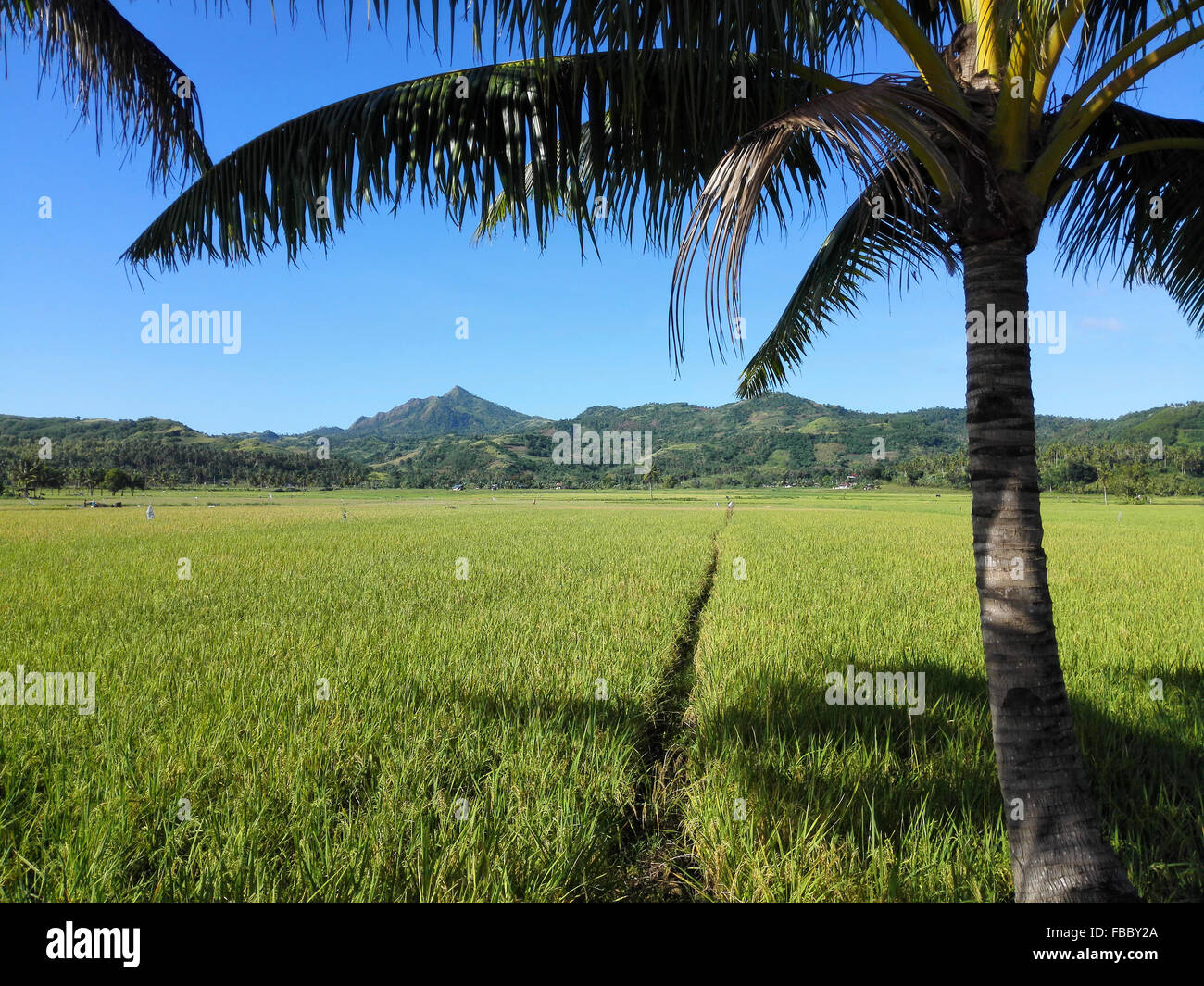 Leyte hi-res stock photography and images - Alamy