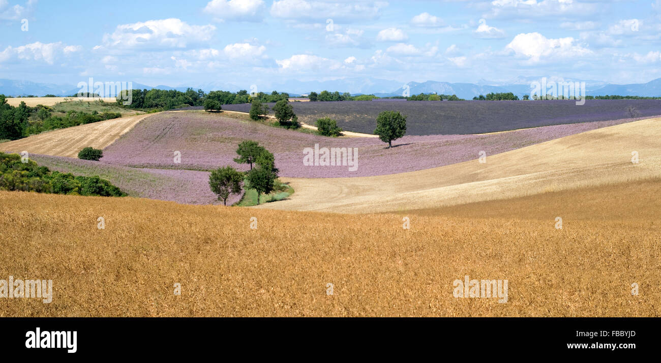 Provencal landscape hi-res stock photography and images - Alamy