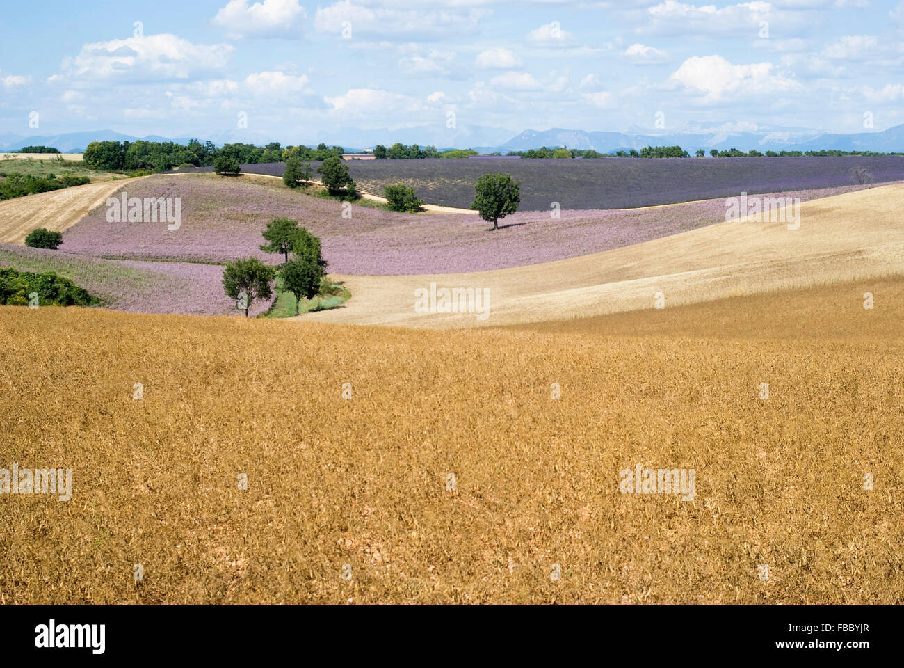 Provencal landscape hi-res stock photography and images - Alamy