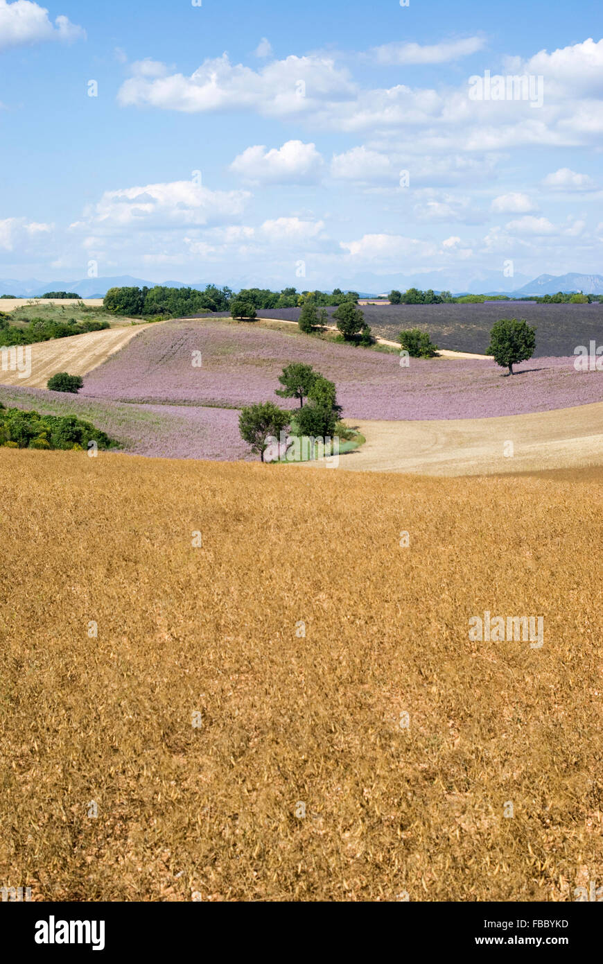Provencal landscape hi-res stock photography and images - Alamy