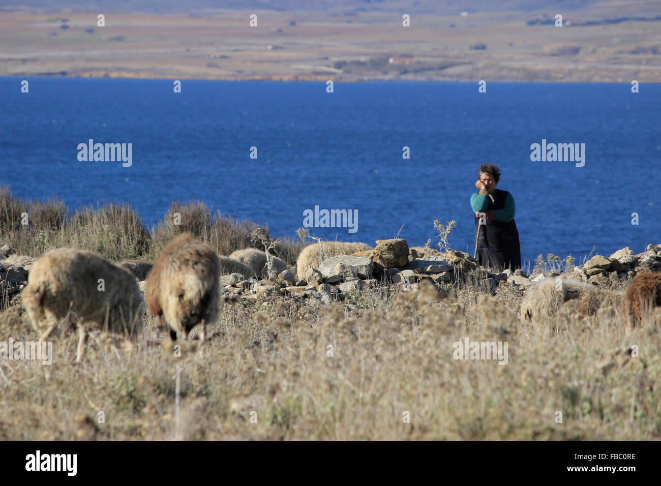 Greek shepherdess hi-res stock photography and images - Alamy