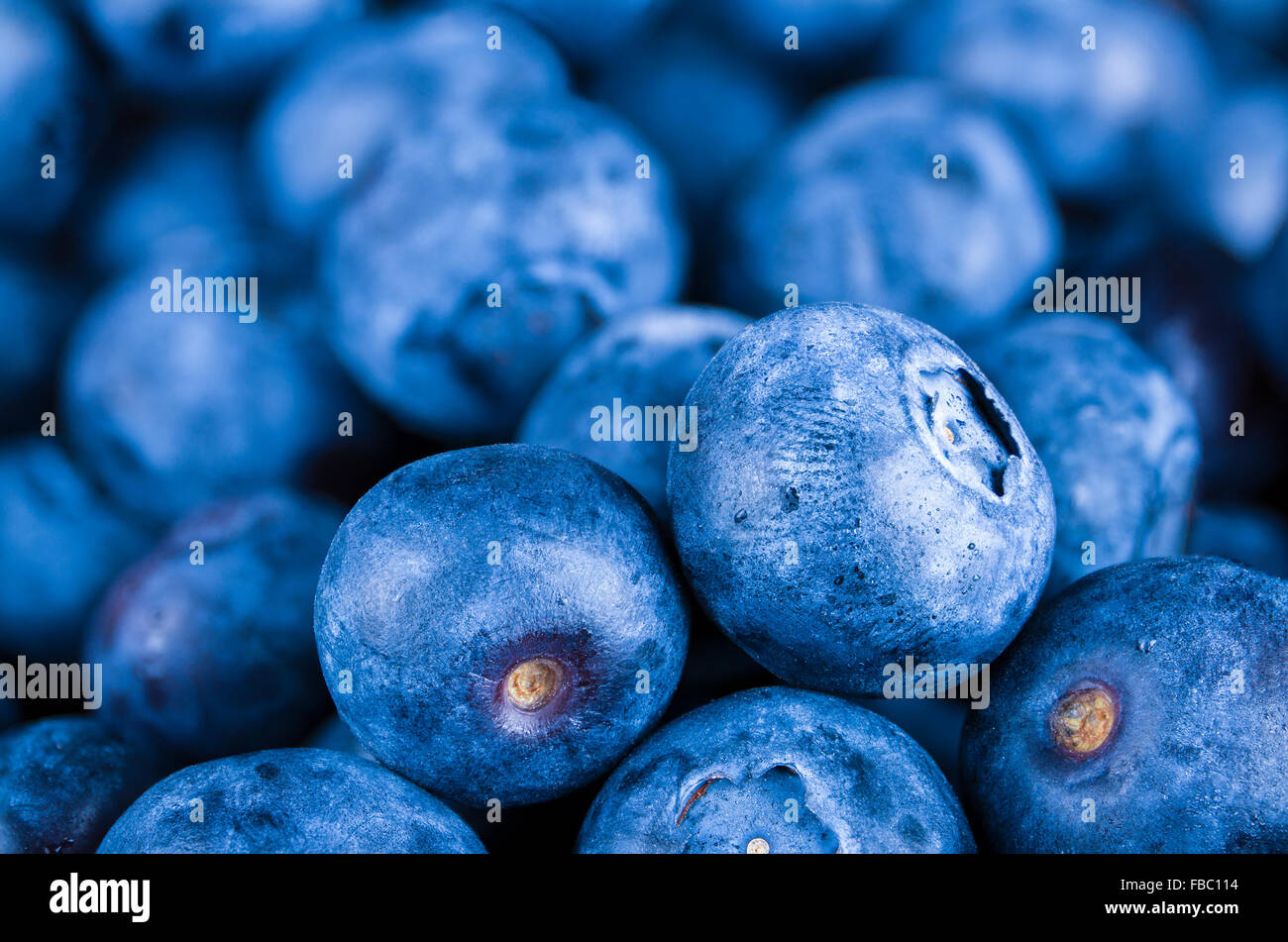 Blue blueberries closeup hi-res stock photography and images - Alamy