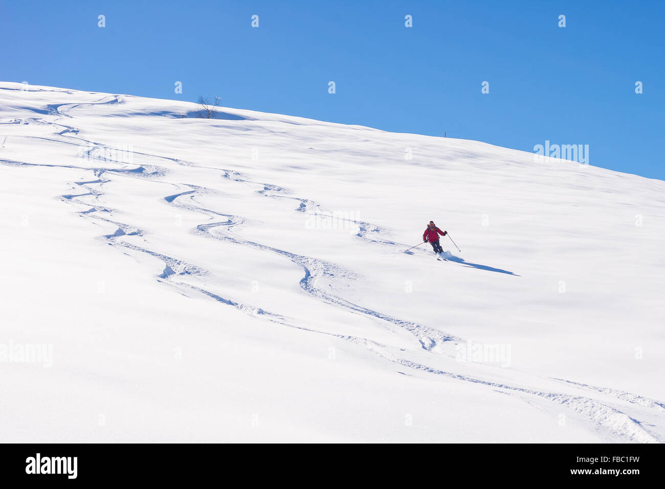 One person skiing downhills off piste on snowy slope in the italian ...