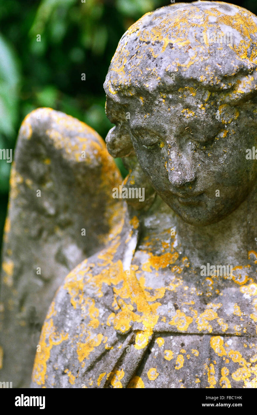 Angels of love hi-res stock photography and images - Alamy