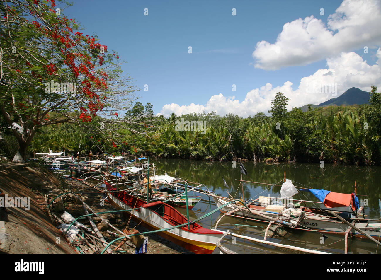 Philippines Palawan General Fishing boats at Bahile Wharf Adrian Baker ...