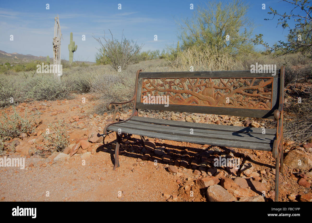 Park bench in the Arizona Desert Stock Photo - Alamy