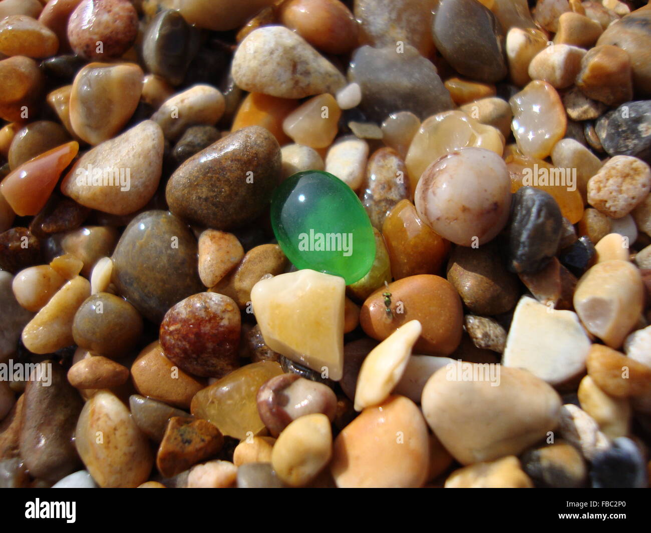 Smooth green glass in pebbles Stock Photo - Alamy