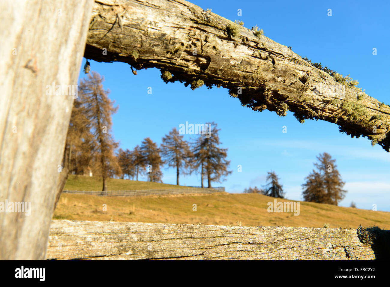 Almwiese wiese hi-res stock photography and images - Alamy