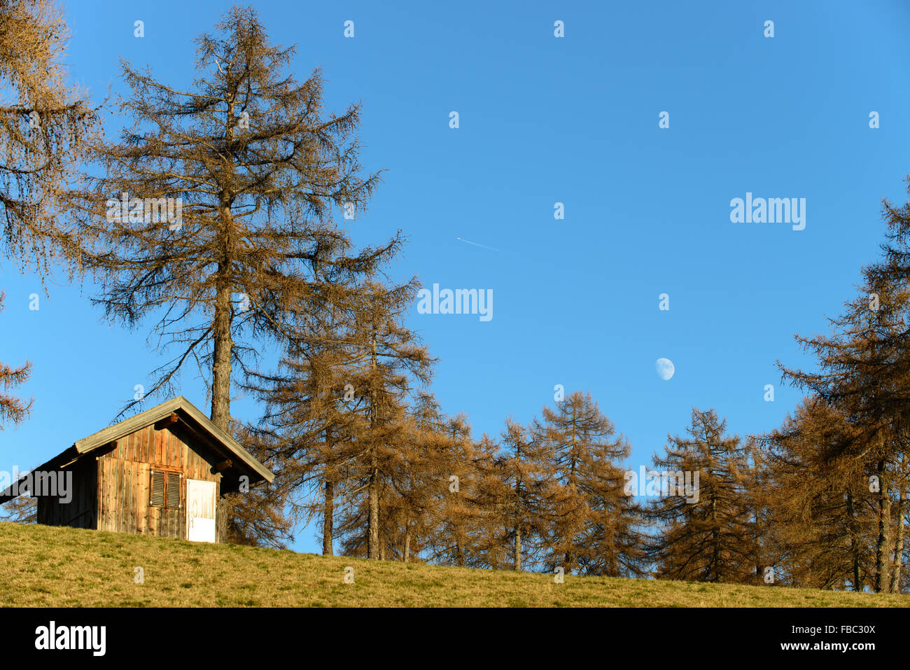 Alm almwiese alp hi-res stock photography and images - Alamy