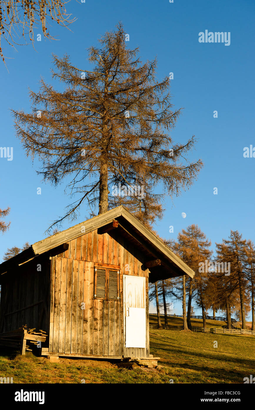 Almwiese wiese hi-res stock photography and images - Alamy