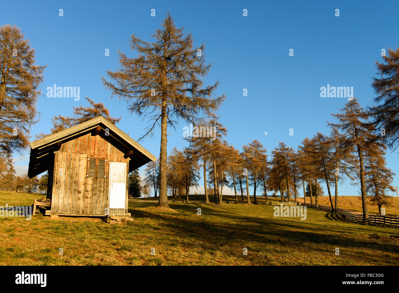 Almwiese wiese hi-res stock photography and images - Alamy