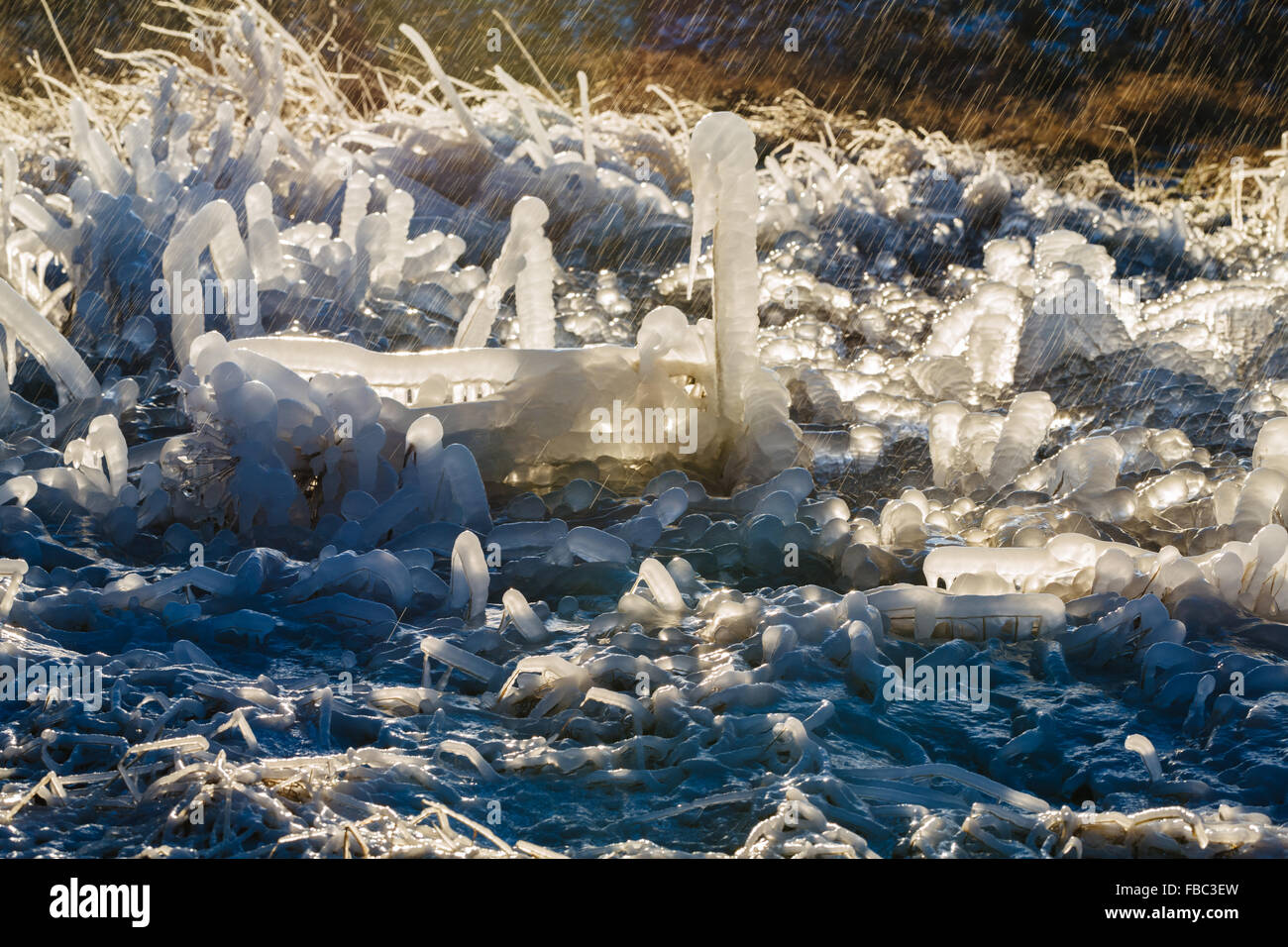 Iced over grass in an amazing form with water splashing Stock Photo - Alamy