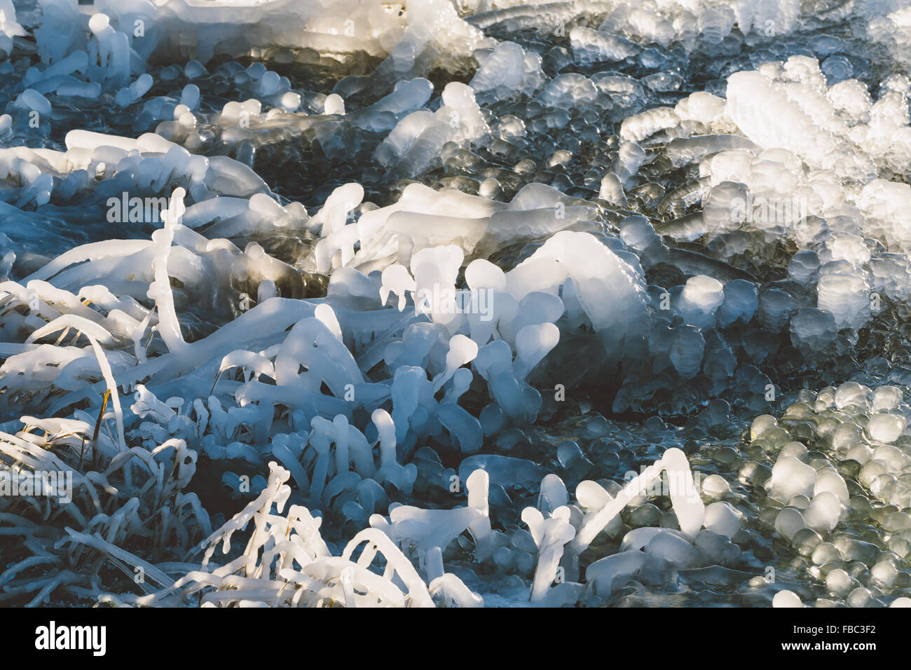 Iced over grass in an abstract beautiful form Stock Photo - Alamy
