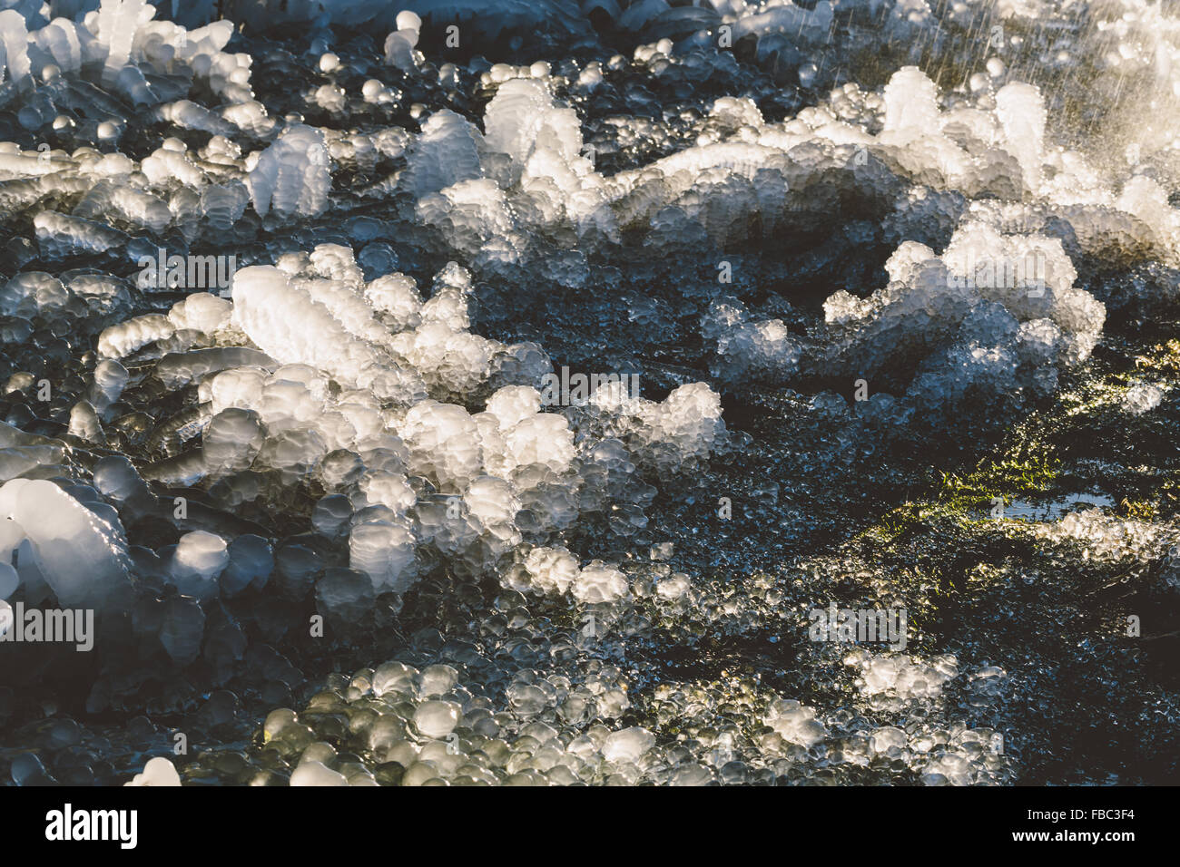 Iced over grass in an abstract beautiful form Stock Photo - Alamy