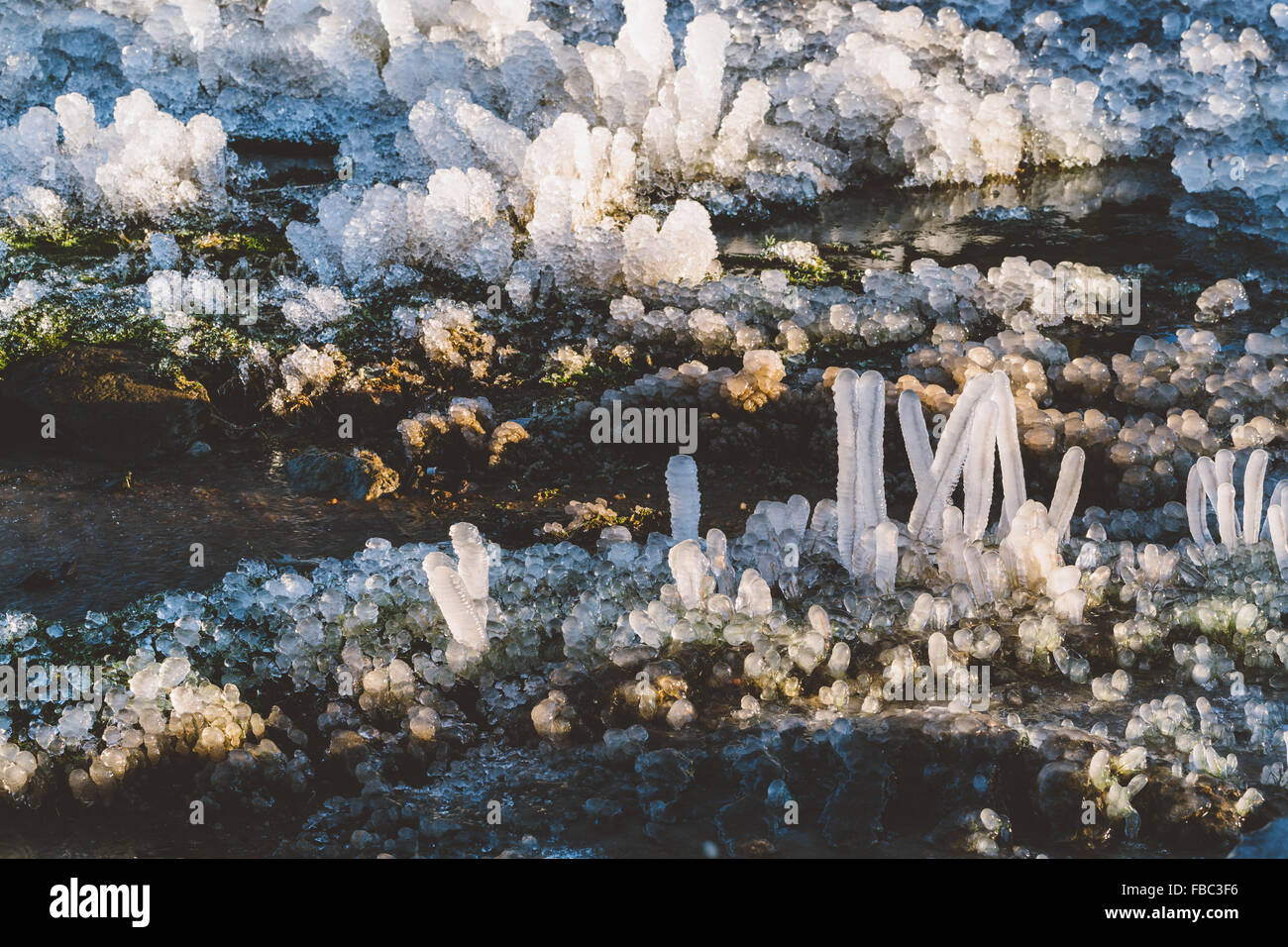 Iced over grass in an abstract beautiful form Stock Photo - Alamy