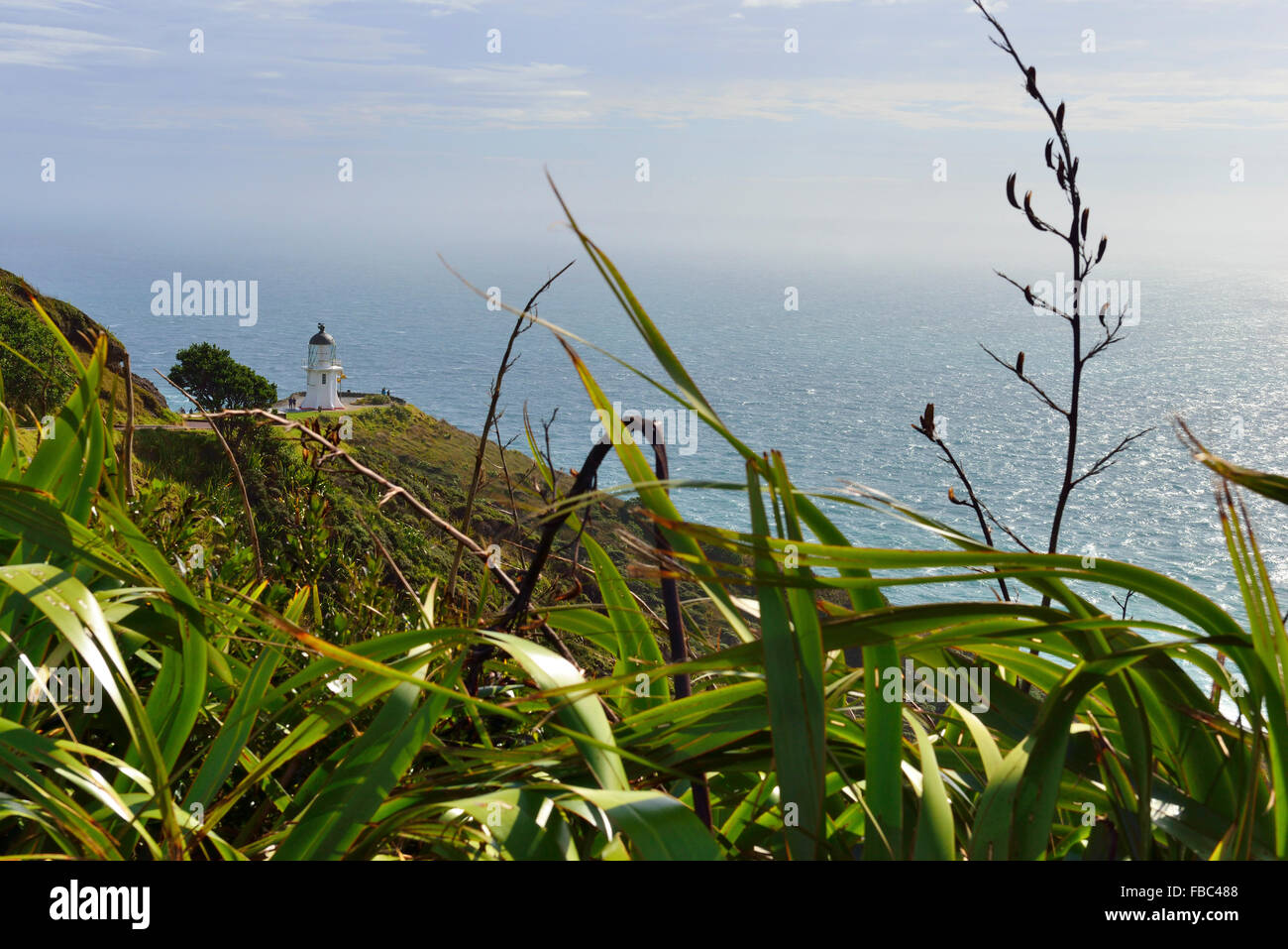 Cape Reinga/Te Rerenga Wairua, light house at the northern tip of New ...