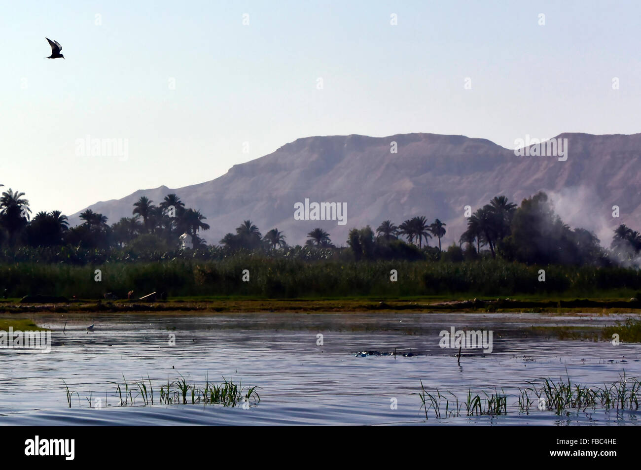 Nile shore hi-res stock photography and images - Alamy