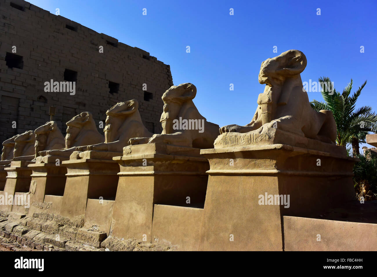 The ancient Egyptian stone rams guarding the temple of Karnak in Luxor ...