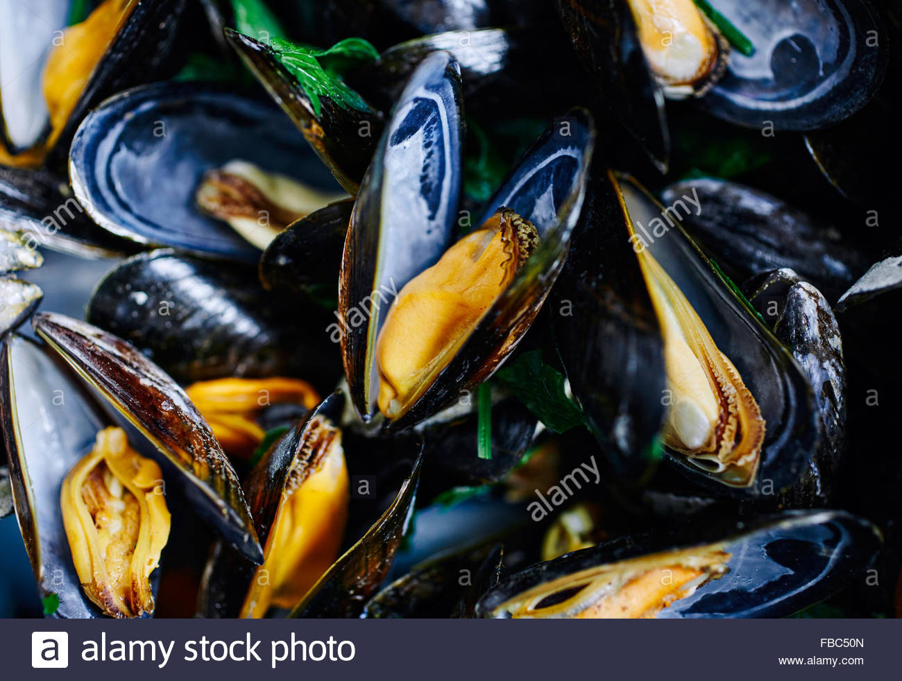 Closeup Shot High Resolution Stock Photography and Images - Alamy