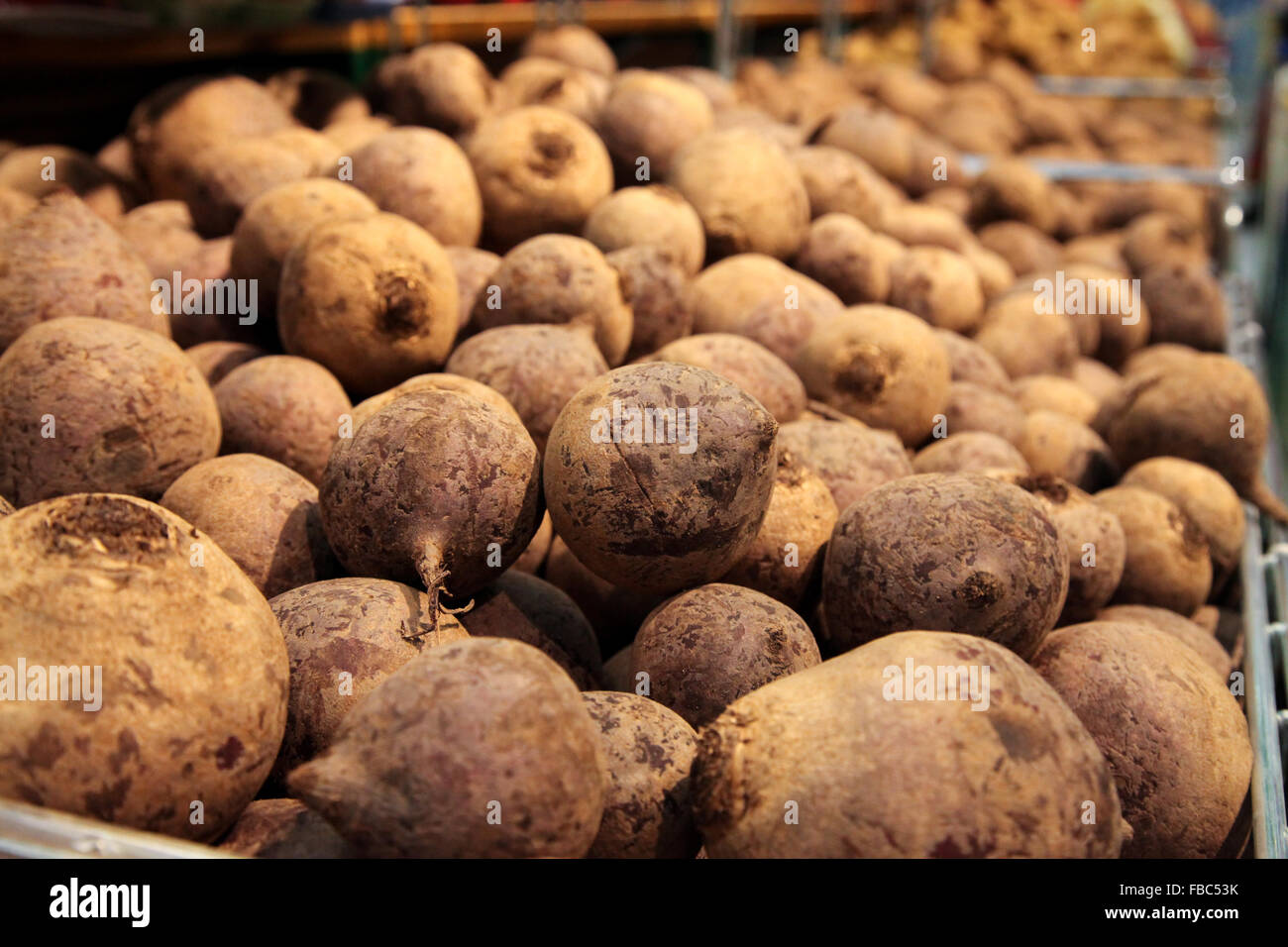 Crates with beetroot harvest at market Stock Photo - Alamy