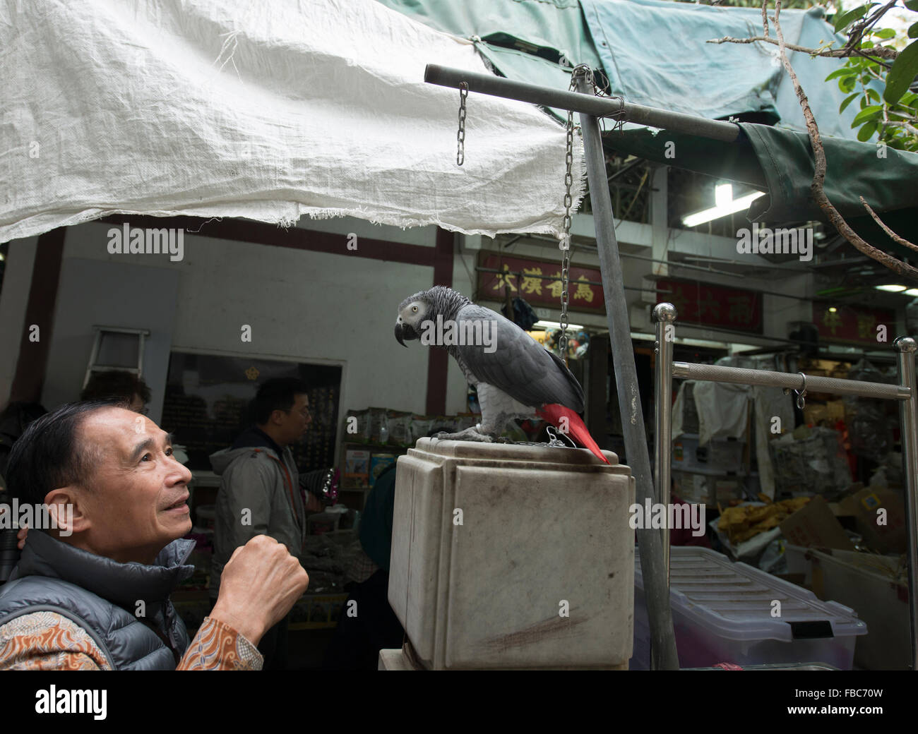 Scenes from the Yuen Po Bird Garden Market in Mongkok, Hong Kong Stock ...