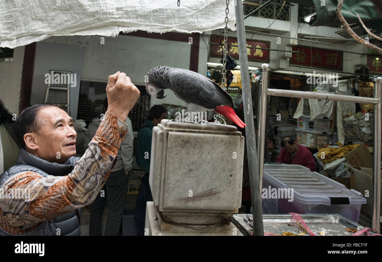 Scenes from the Yuen Po Bird Garden Market in Mongkok, Hong Kong Stock ...