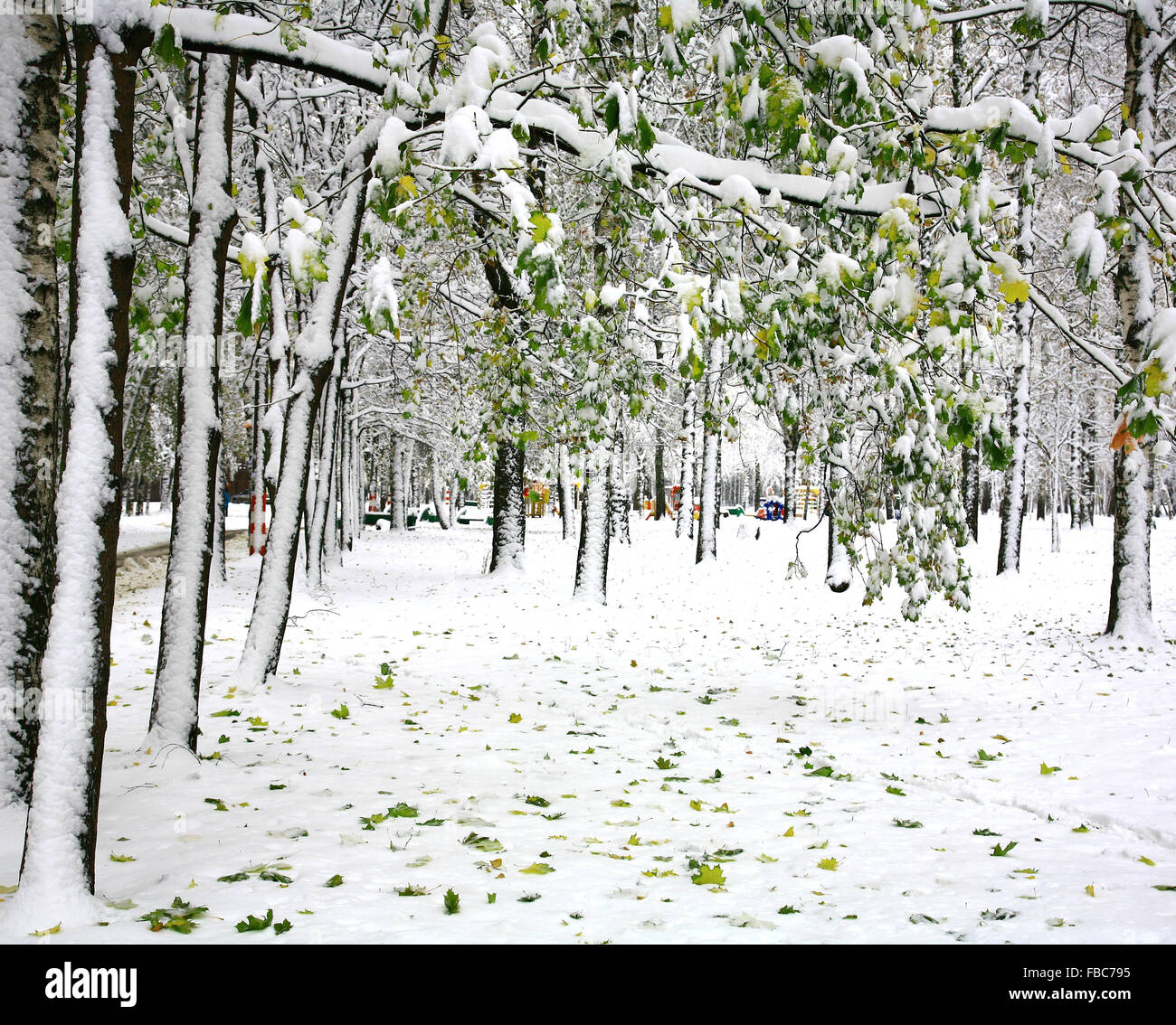 First snow in the autumn city park Stock Photo - Alamy