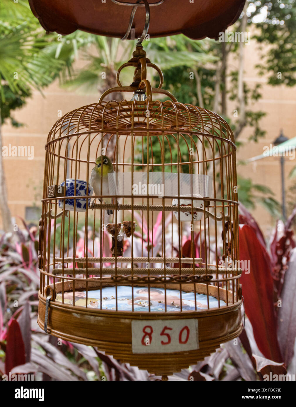 Birdcage at the Yuen Po Bird Garden Market in Mongkok, Hong Kong Stock ...