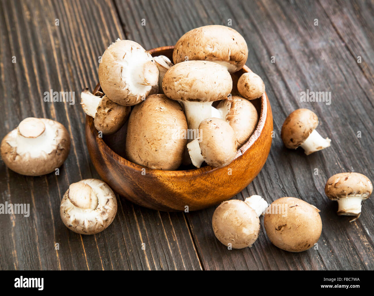 Champignon mushrooms hi-res stock photography and images - Alamy