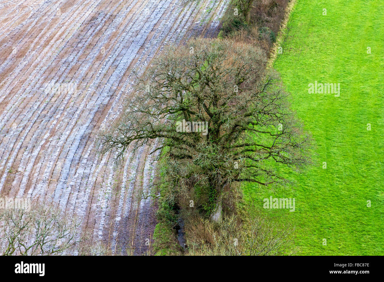 Mud Field Wet Stock Photos & Mud Field Wet Stock Images - Alamy