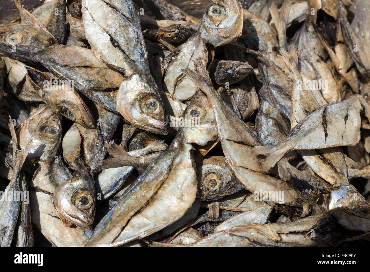 Dried fish, Arugam bay, Sri Lanka, South Asia, Asia Stock Photo - Alamy