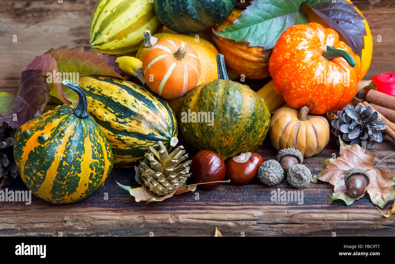 Autumn decorations hi-res stock photography and images - Alamy
