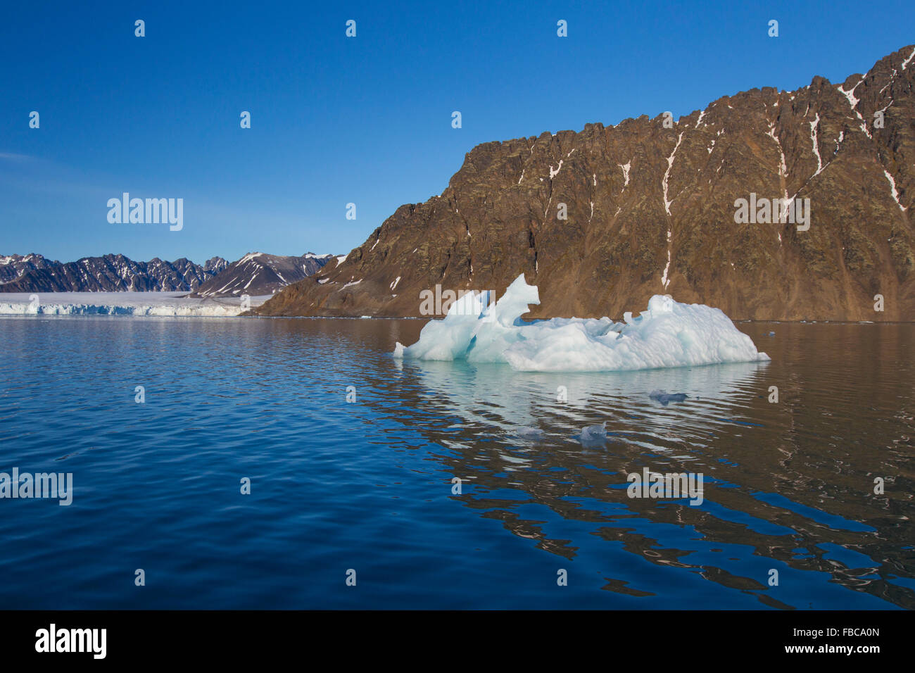 Calved iceberg from Lilliehöökbreen glacier melting in ...