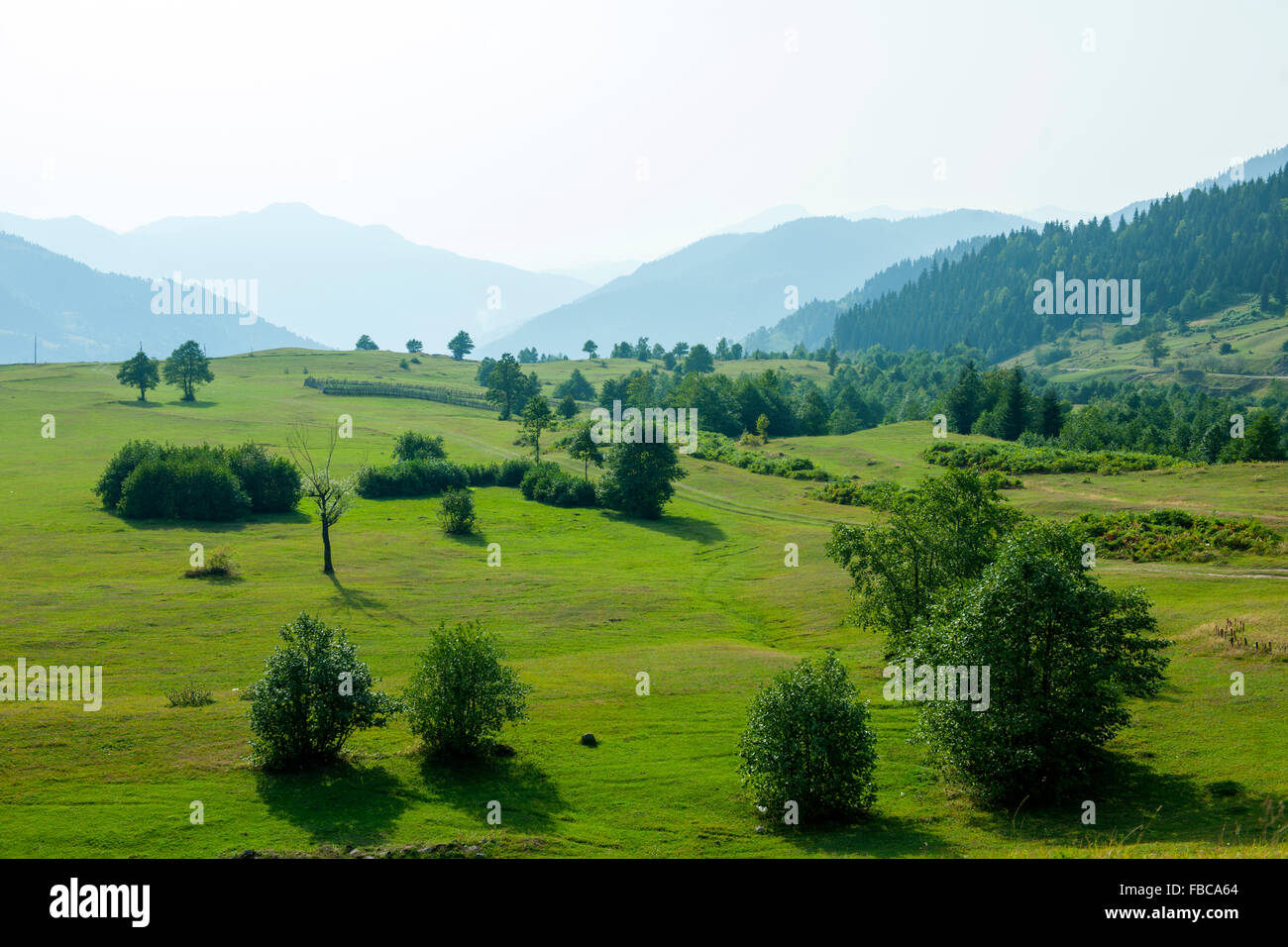 Georgien, Adscharien, am Goderdzi Pass Stock Photo - Alamy