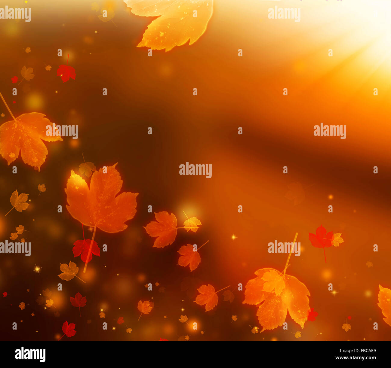 Magical Golden Fall Leaves and Sparkle , Autumn Shine Stock Photo - Alamy
