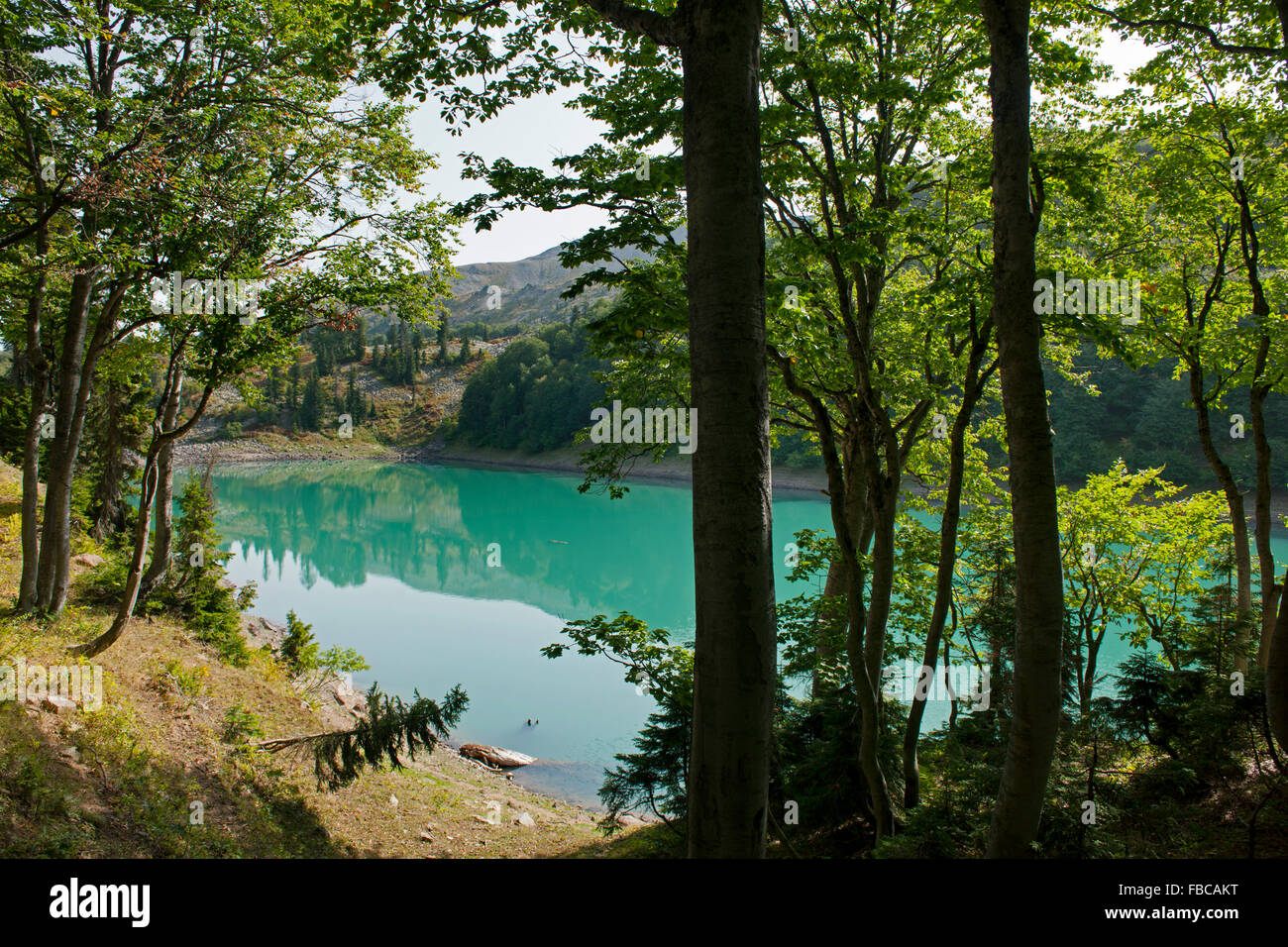 Georgien, Adscharien, Green Lake am Goderdzi Pass Stock Photo - Alamy
