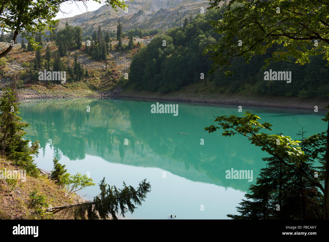 Georgien, Adscharien, Green Lake am Goderdzi Pass Stock Photo - Alamy