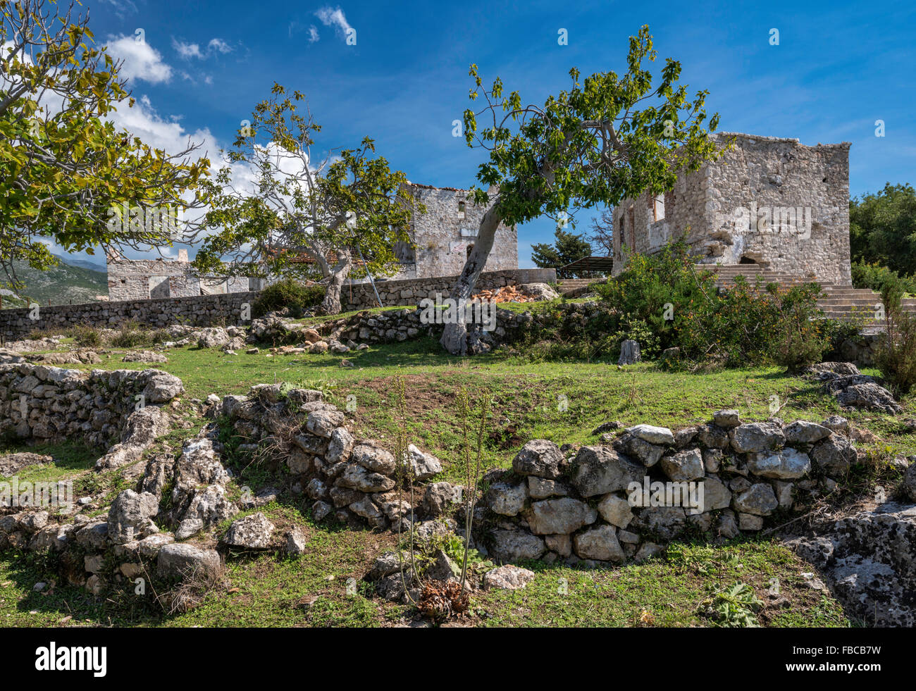 Theodore Wall's Instagram, Twitter & Facebook on IDCrawl