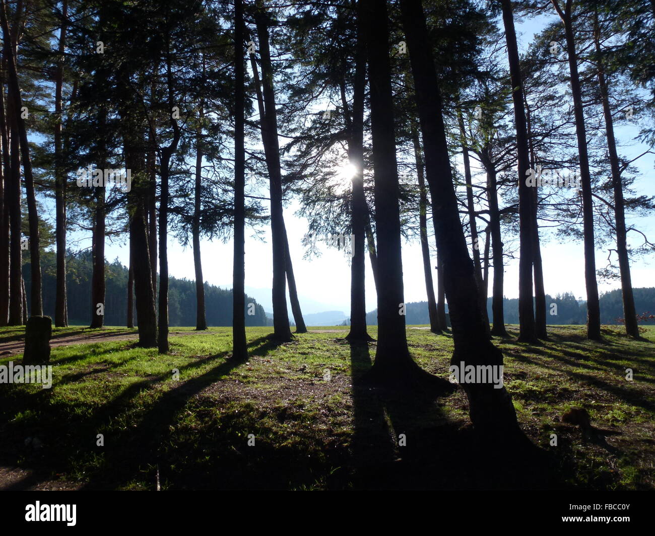Elzach, Germany. 27th Dec, 2015. Mountains seen through trees in the ...