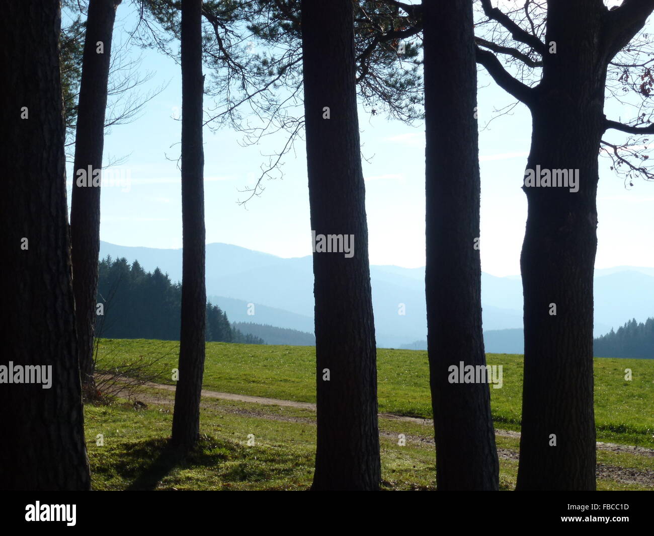 Elzach, Germany. 27th Dec, 2015. Mountains seen through trees in the ...