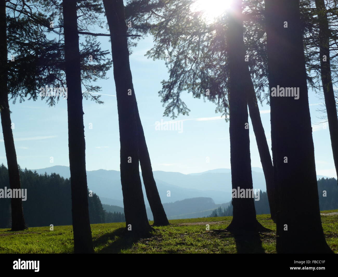 Elzach, Germany. 27th Dec, 2015. Mountains seen through trees in the ...