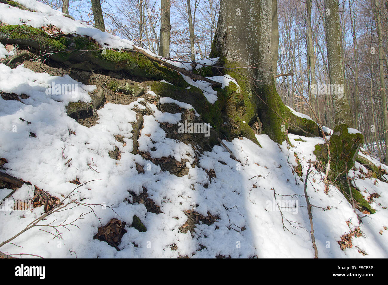 Ukrainian spring hi-res stock photography and images - Alamy