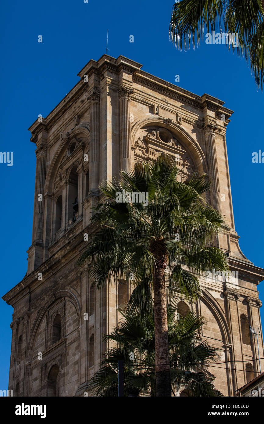 Granada Cathedral bell tower with palm trees in Granada Spain Stock ...