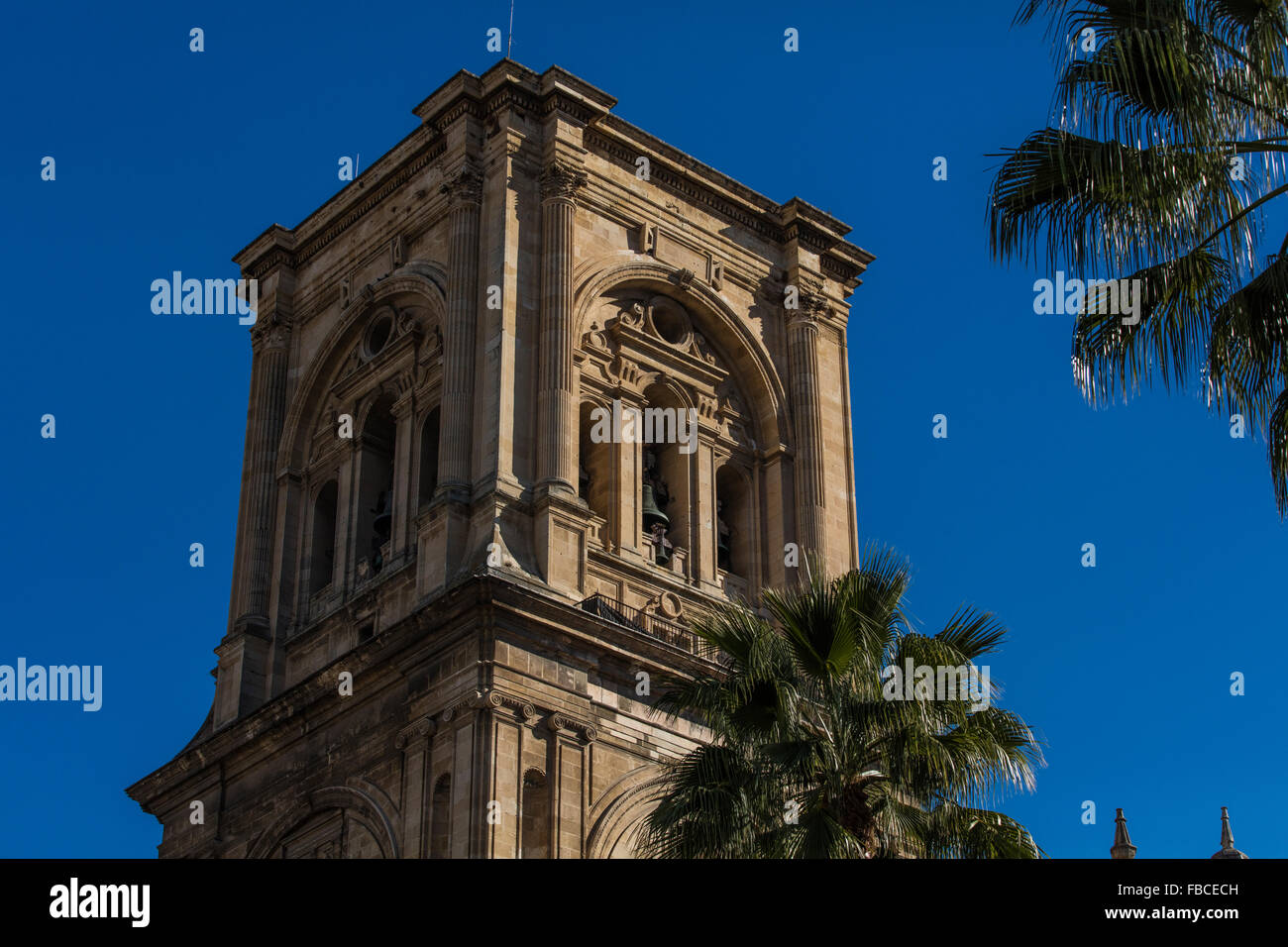 Bell tower of Granada Cathedral in Granada Spain with palm trees and ...
