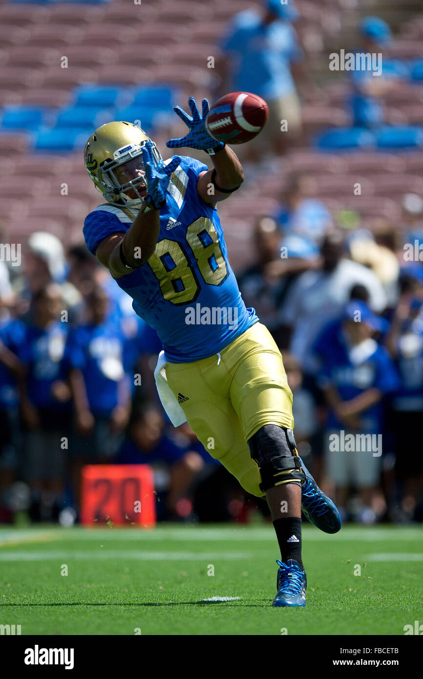 Wide receiver Austin Roberts #88 of the UCLA Bruins catches a pass ...