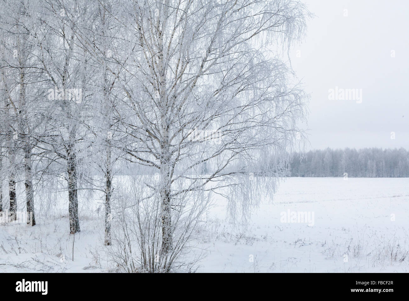 Frosty cold winter countryside landscape hi-res stock photography and ...