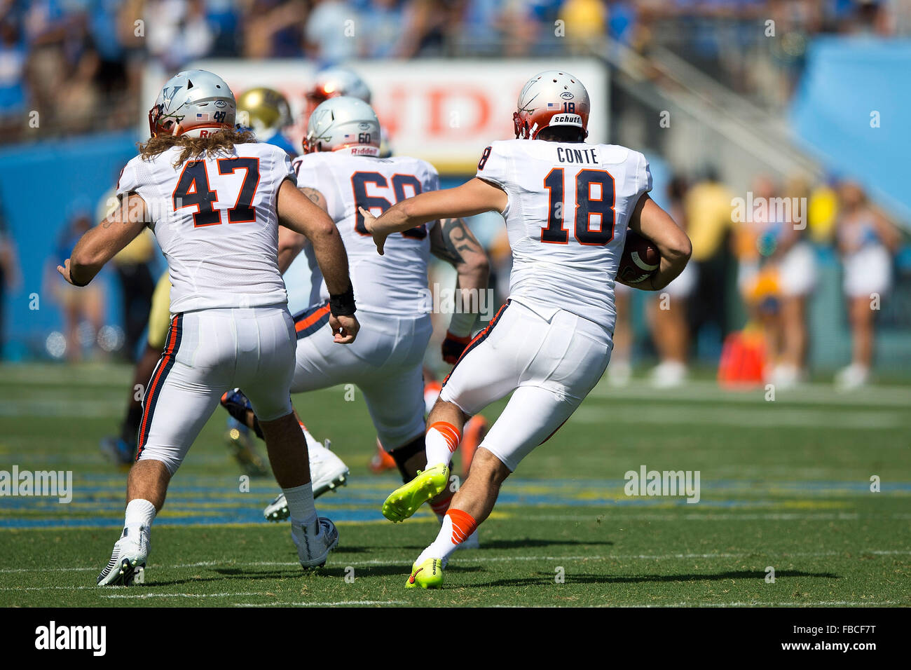 Nicholas conte hi-res stock photography and images - Alamy