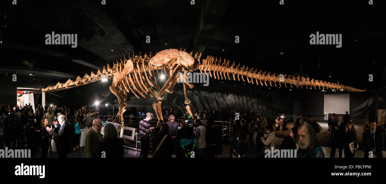 (160114) -- NEW YORK, Jan. 14, 2016 (Xinhua) -- Post-stitched panorama ...