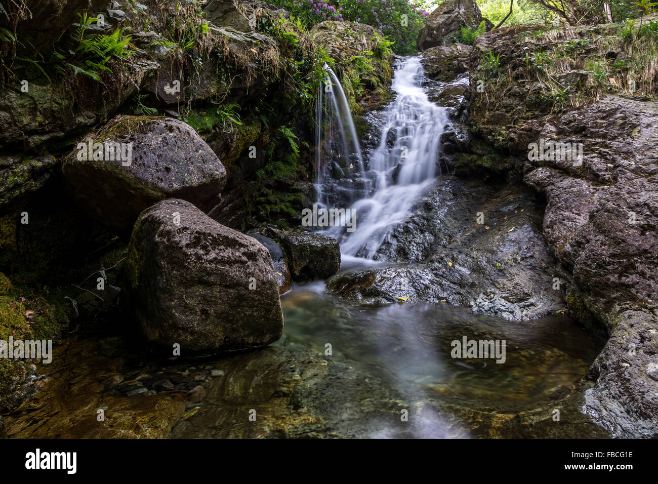 A small waterfall flowing into a rock pool in Donard Forest, County ...