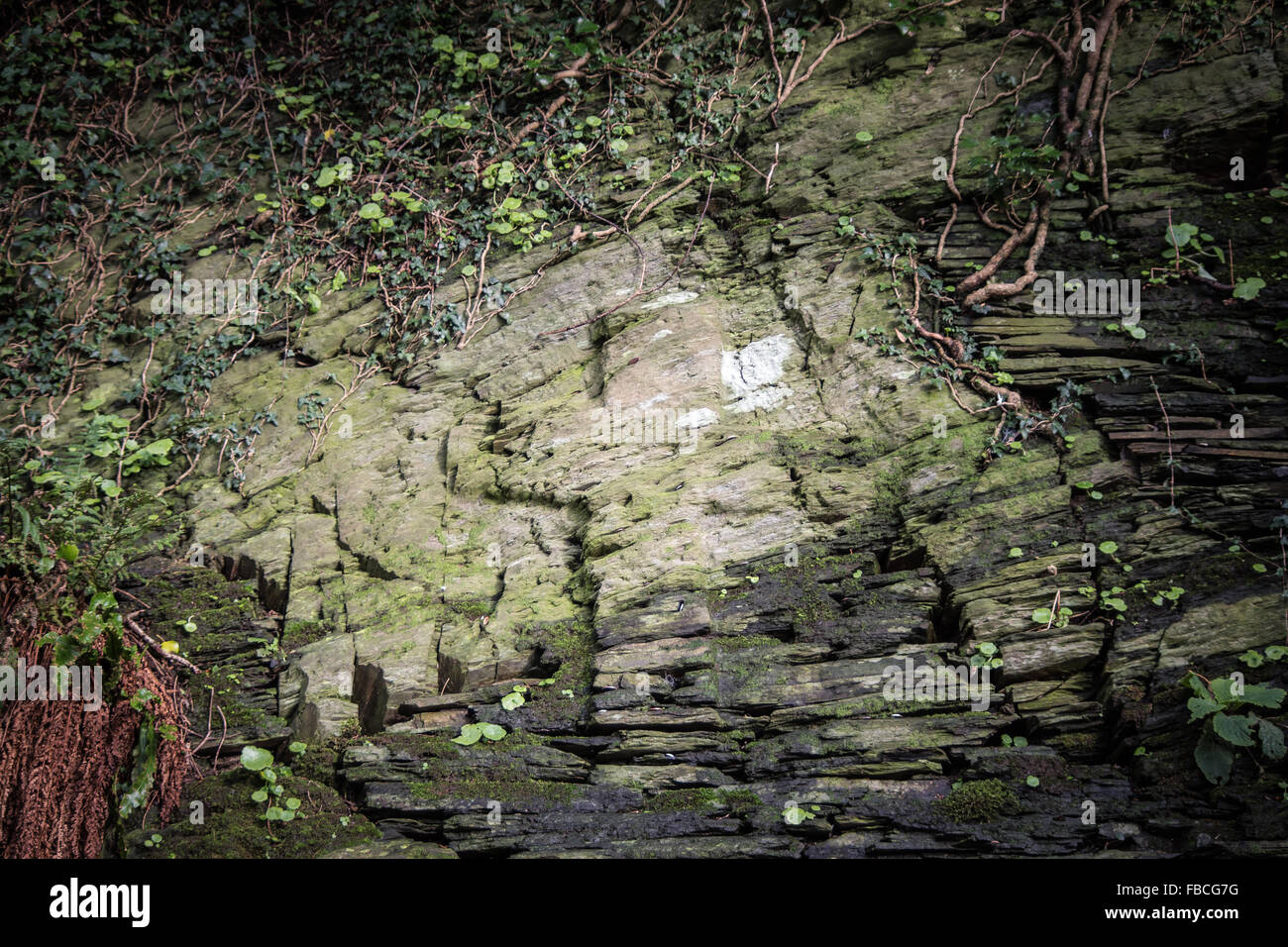 Pilgrims cross hi-res stock photography and images - Alamy